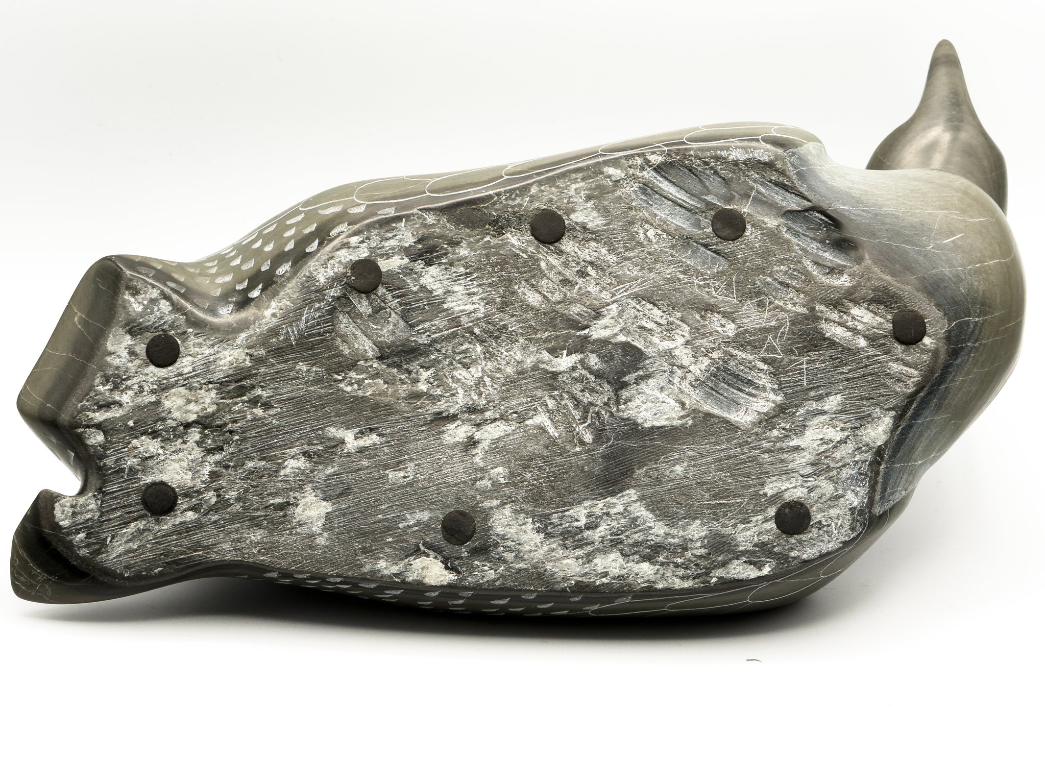 Loon by David Uppik | Mayberry Fine Art