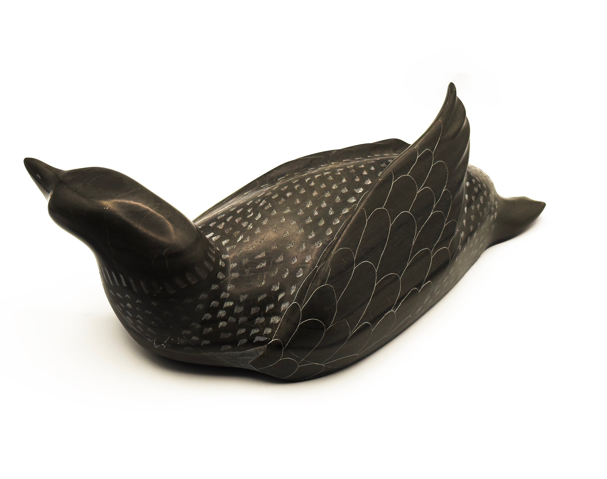 Loon by David Uppik | Mayberry Fine Art