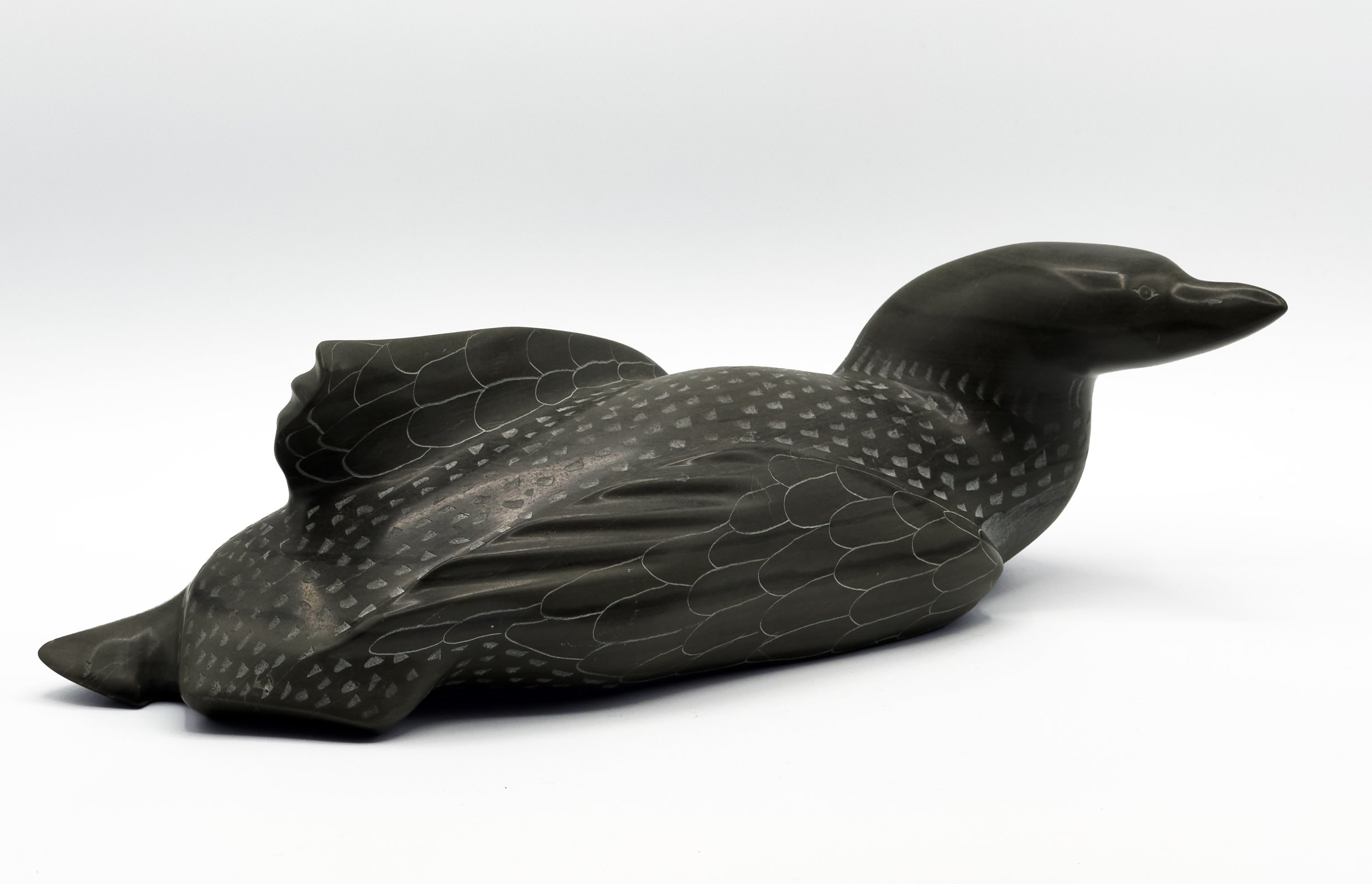 Loon by David Uppik | Mayberry Fine Art